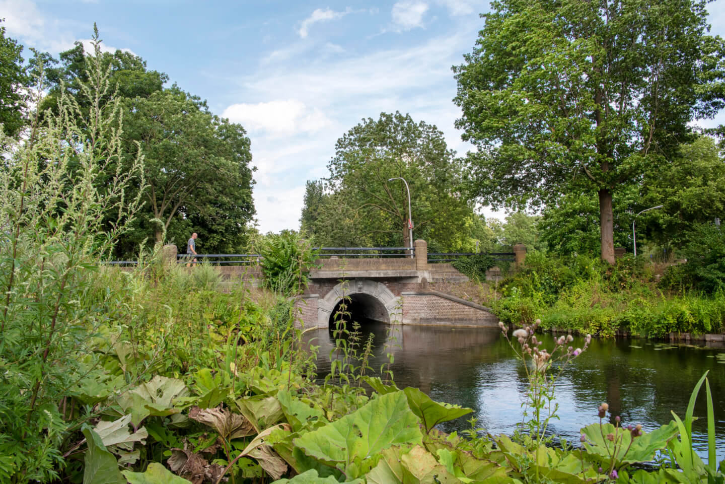 Afronding stage biodiversiteit door Simon de Vries - Cyber
